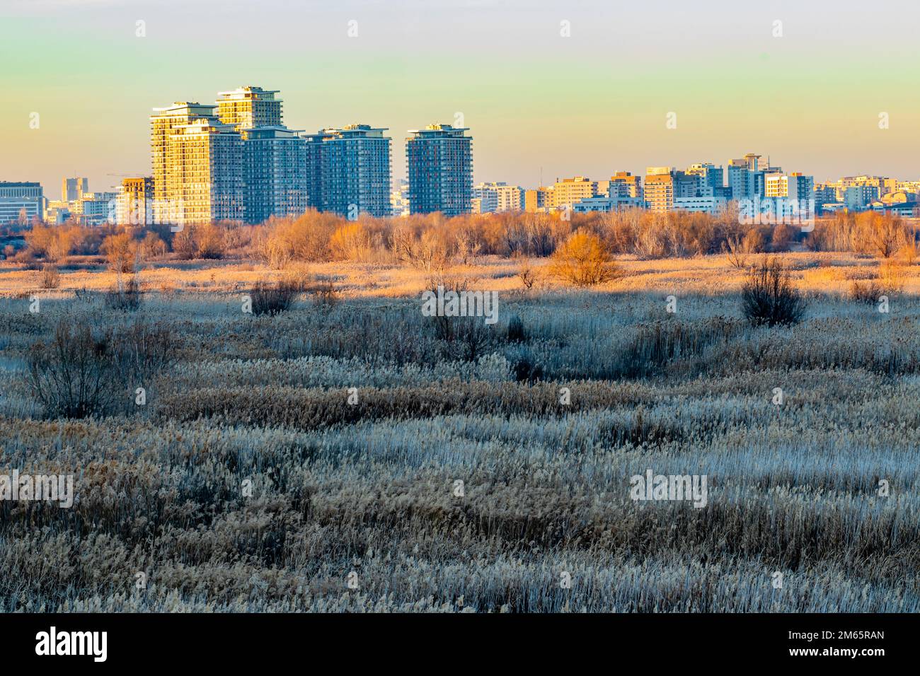 Asmita garden seen from Vacaresti Natural Park in Bucharest, Romania ...