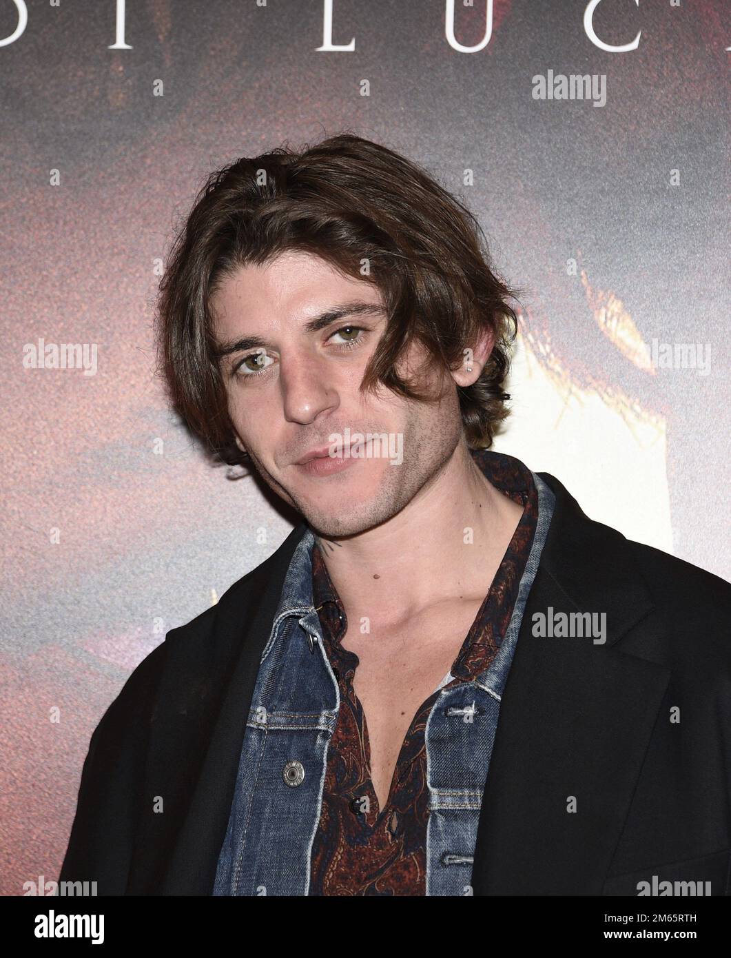 Milan, Italy. 13th Nov, 2022. Milan, Italy Bones and All film photocall ...