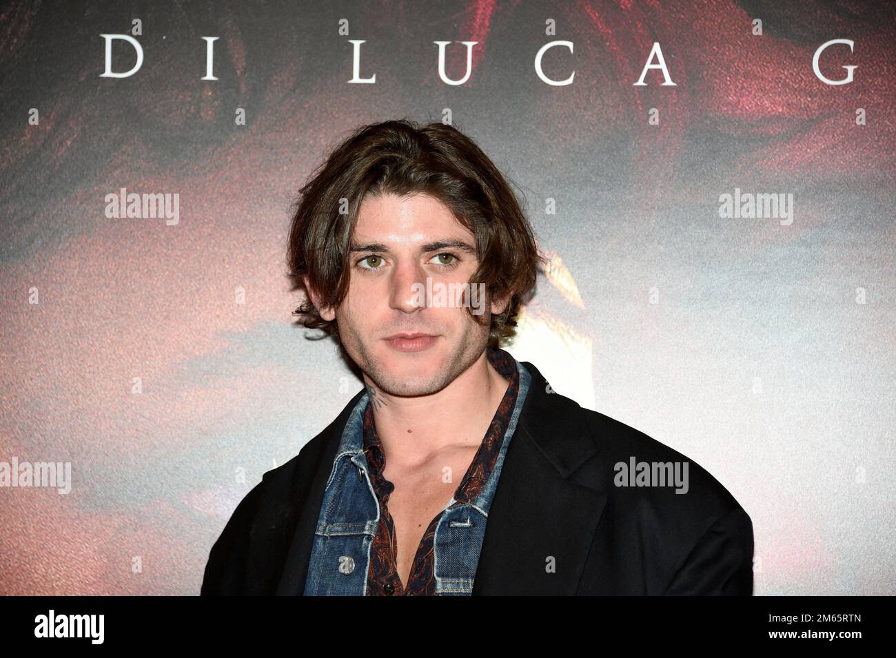 Milan, Italy. 13th Nov, 2022. Milan, Italy Bones and All film photocall ...