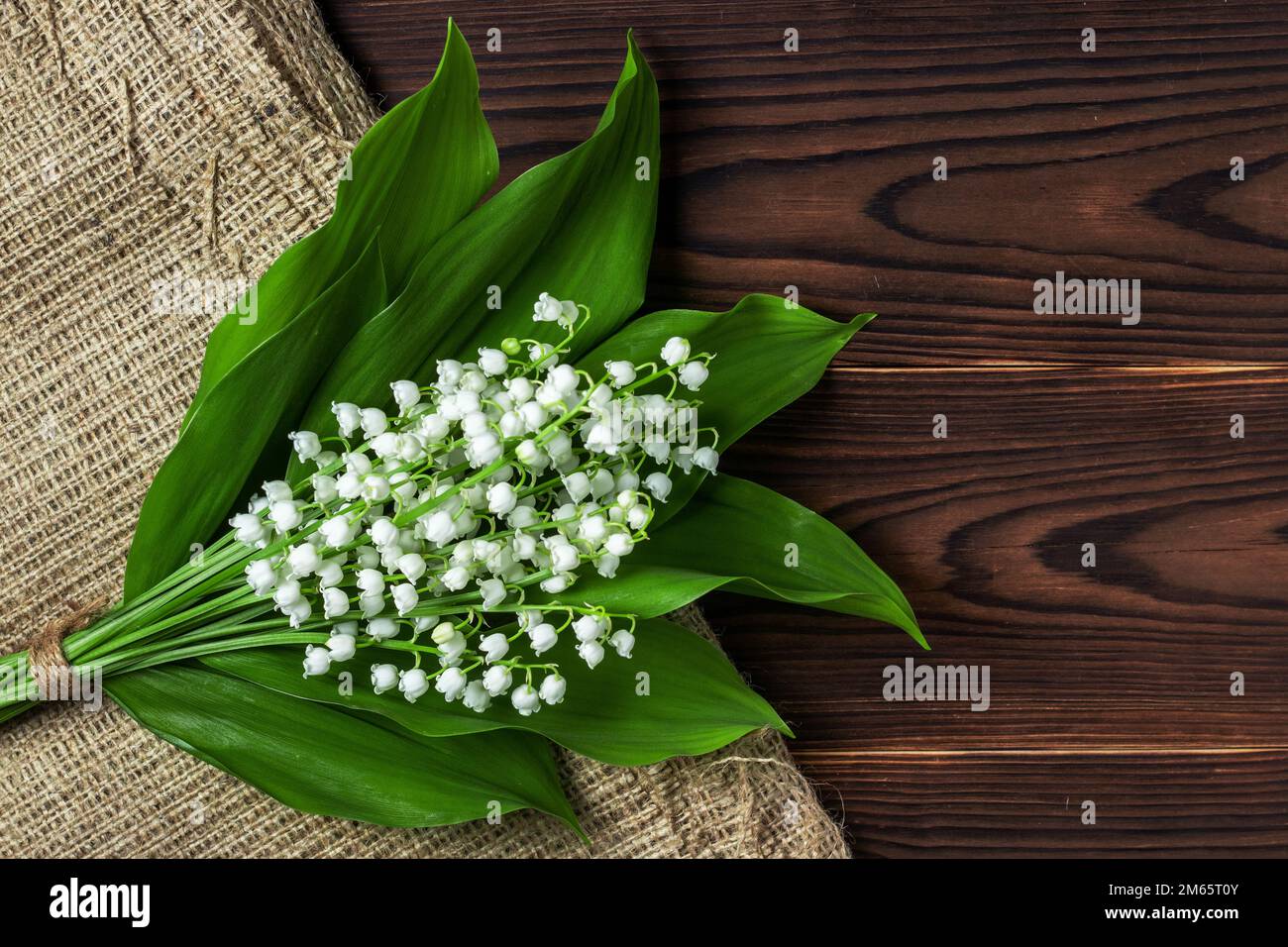 Small and fragrant spring flowers. Bouqet of lily of the valley flowers ...