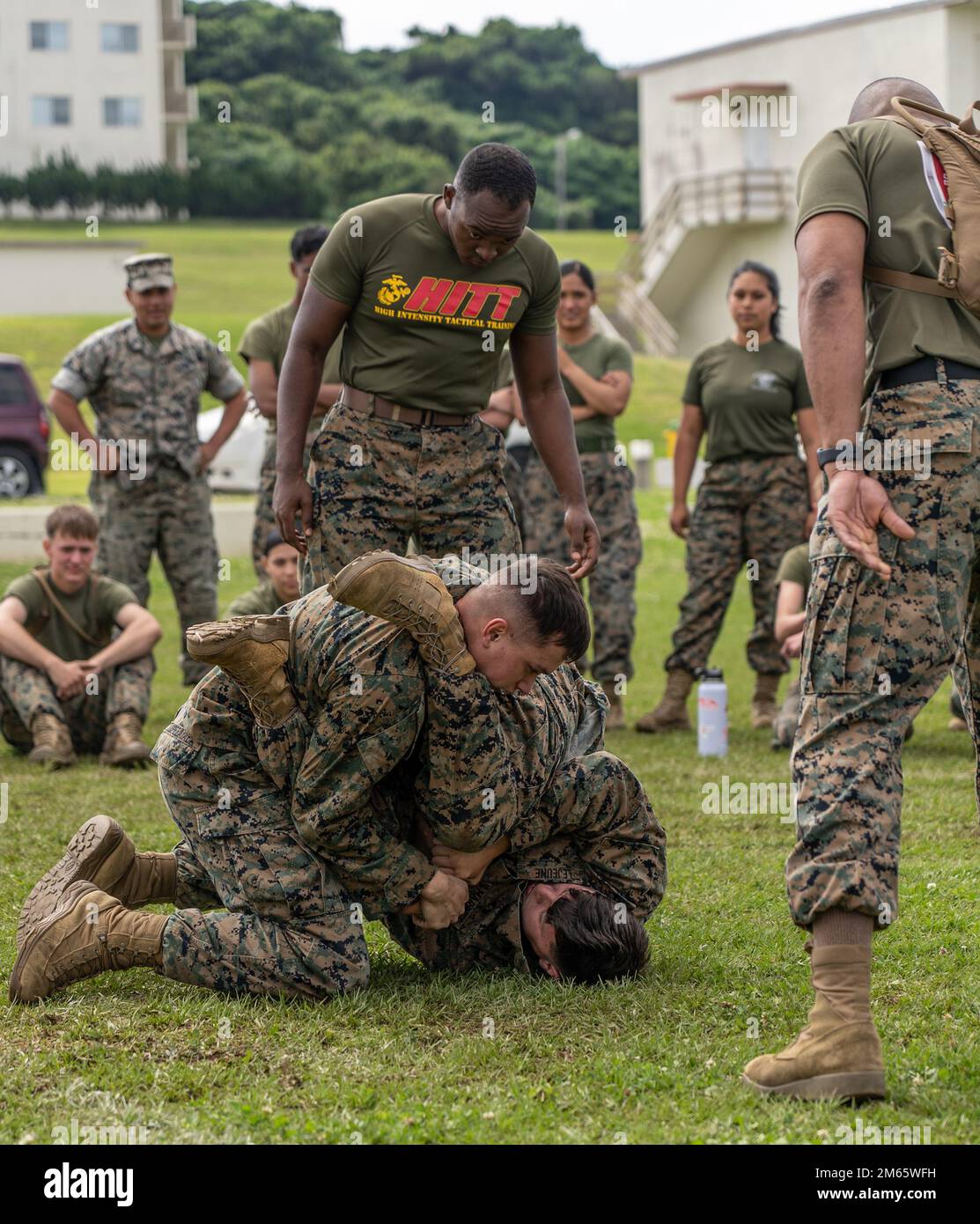 3rd tb hi-res stock photography and images - Alamy