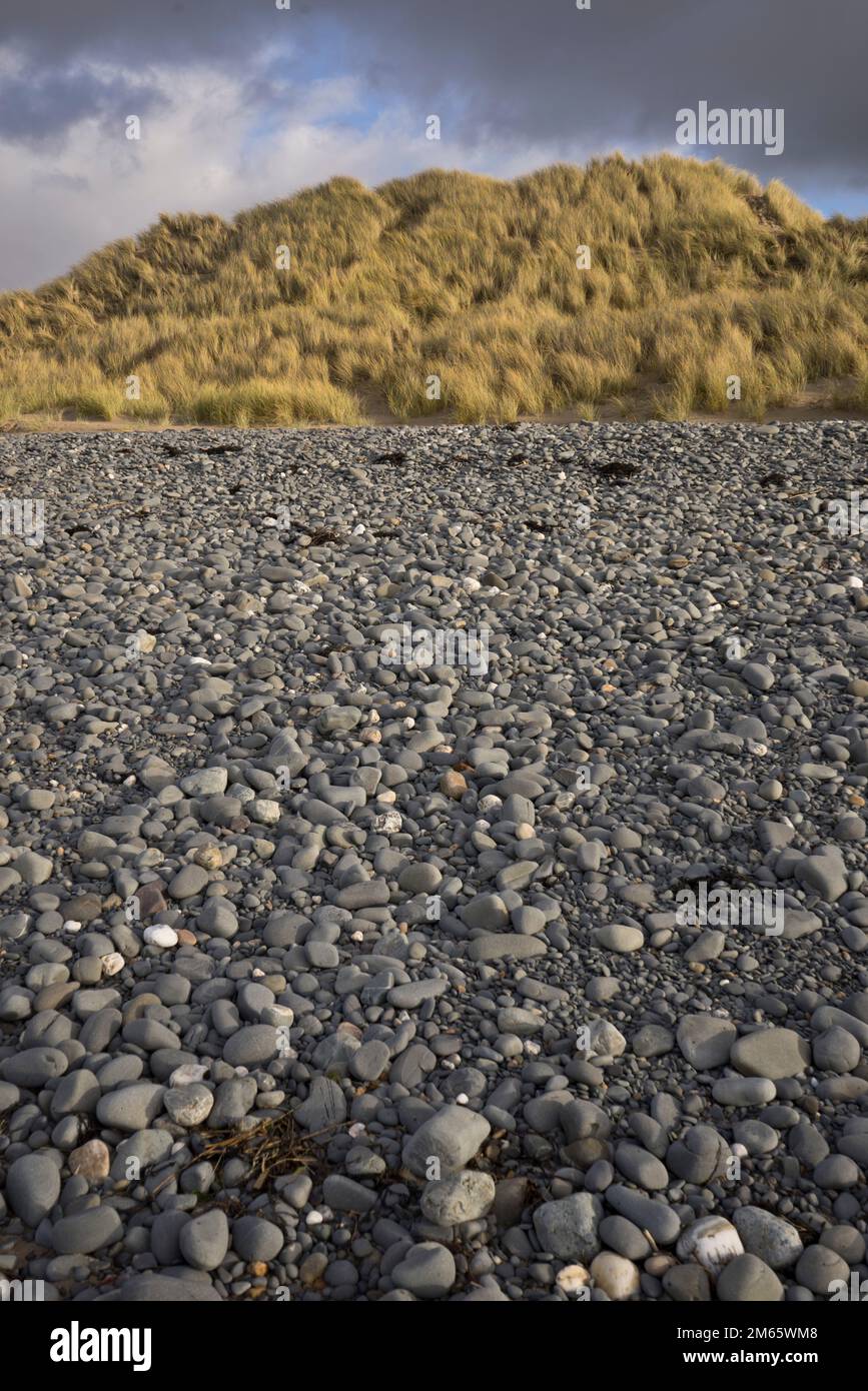 Sand dunes on the beach in Ynyslas at the Dyfi estuary, near Borth and ...