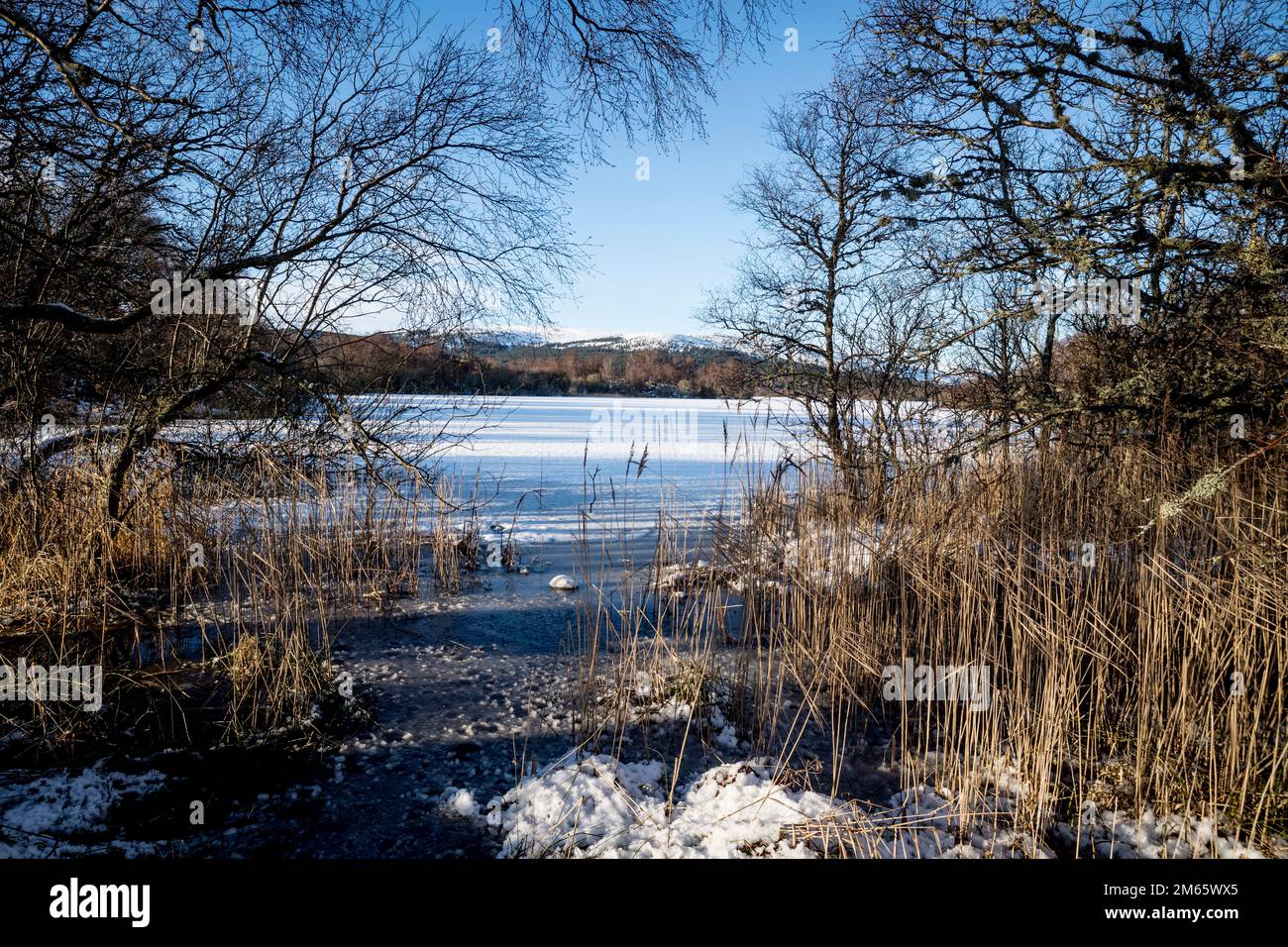 Loch kinord muir dinnet national hi-res stock photography and images ...