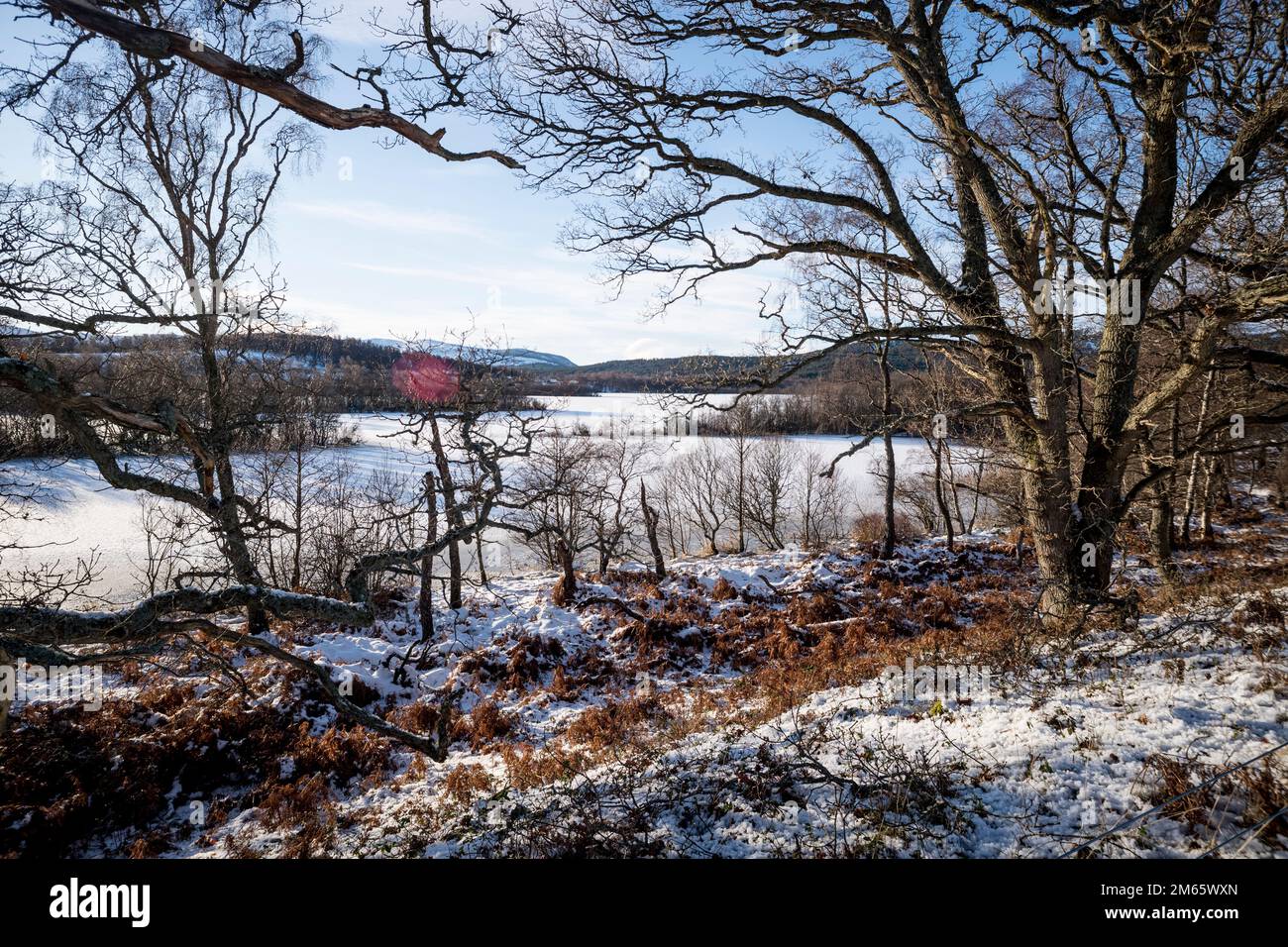 Loch Kinord at Muir of Dinnet National Nature Reserve Aberdeeshire ...