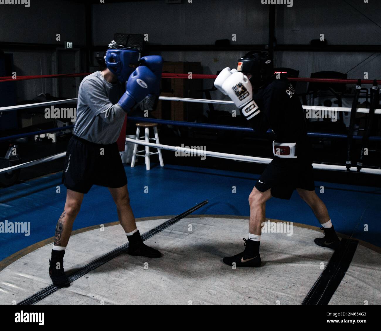 Pvt. Guadalupe Gutierrez, a boxer assigned to the U.S. Army World Class ...