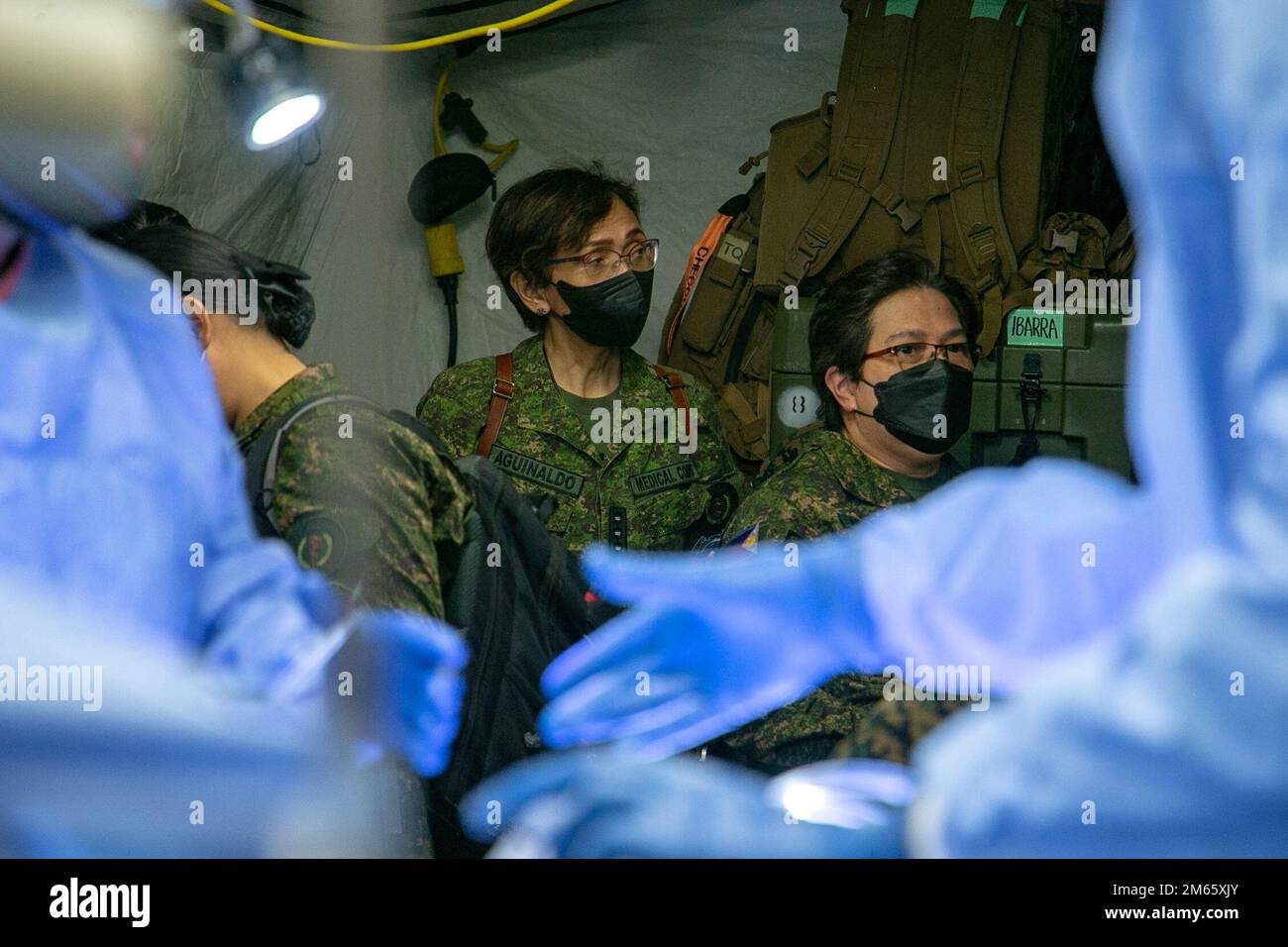 Armed Forces of the Philippines Surgeon General Col. Fatima Claire ...