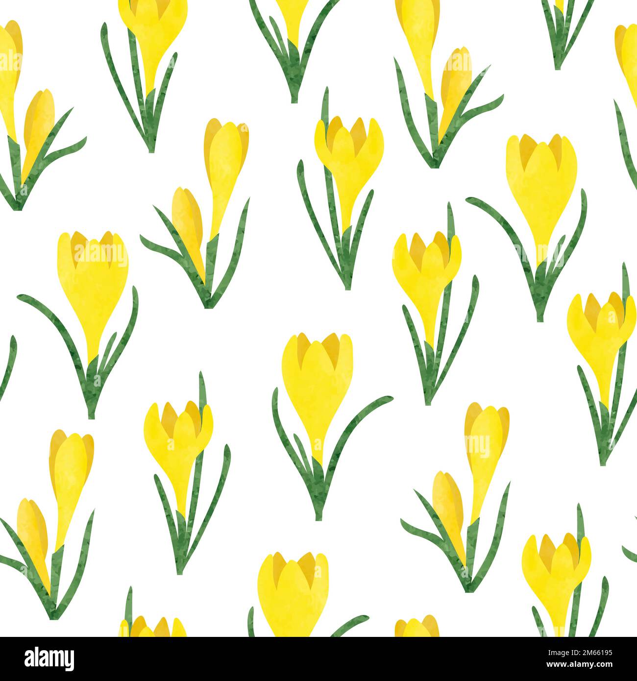 Seamless watercolor yellow crocus flowers pattern. Vector spring ...