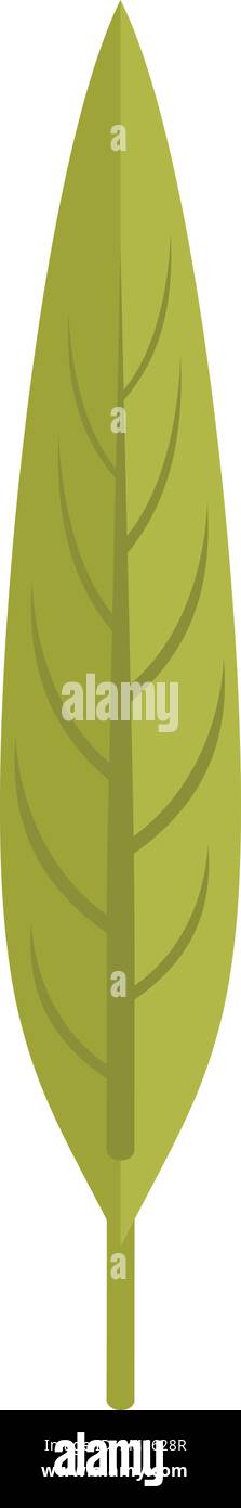 Long green leaf icon flat vector. Fall foliage. Leaves tree isolated ...