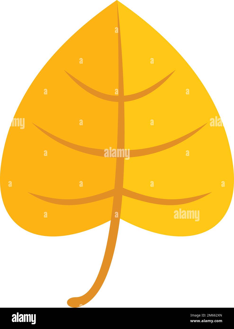Beech tree with yellow leaves Stock Vector Images - Alamy