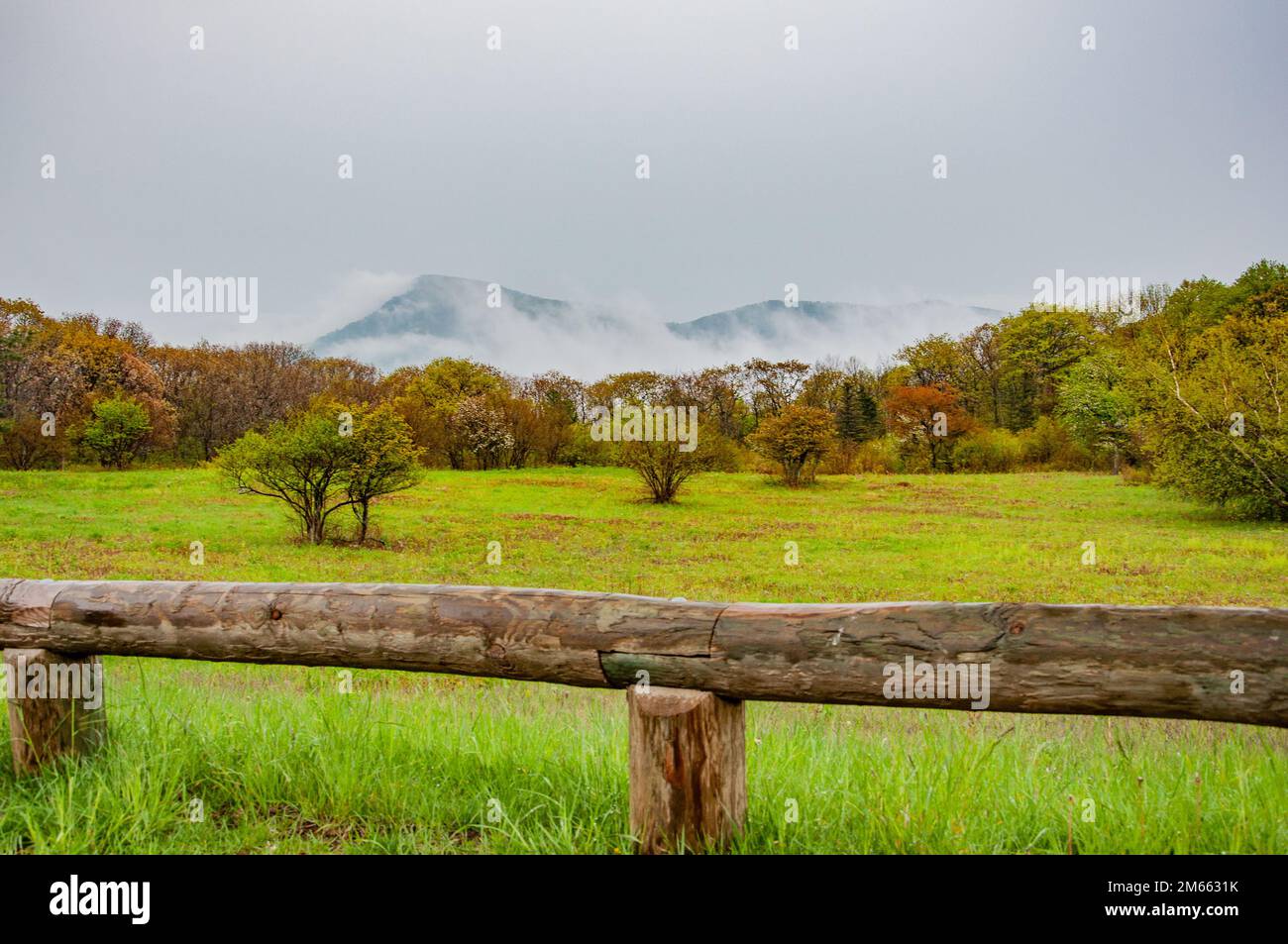 Old Rag Mountain from Skyline Drive on a Foggy Day, Shenandoah National ...