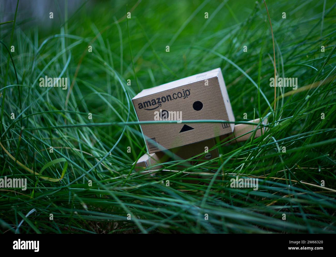 Danbo little anime cardboard robot Stock Photo - Alamy