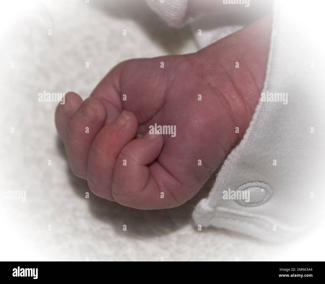 Hand and wrist anatomy hi-res stock photography and images - Alamy