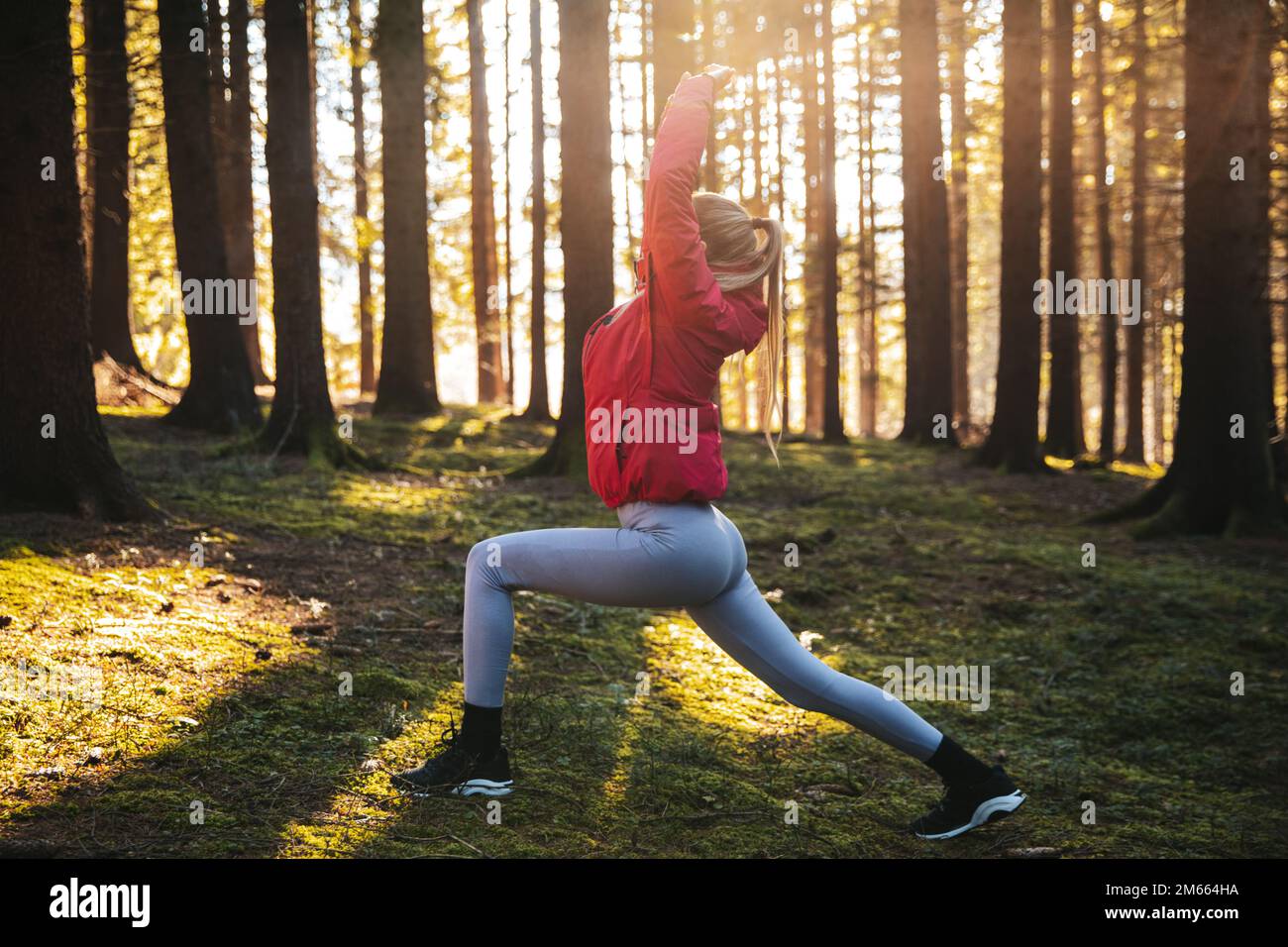 Stretch sunrise arms forest hi-res stock photography and images - Alamy