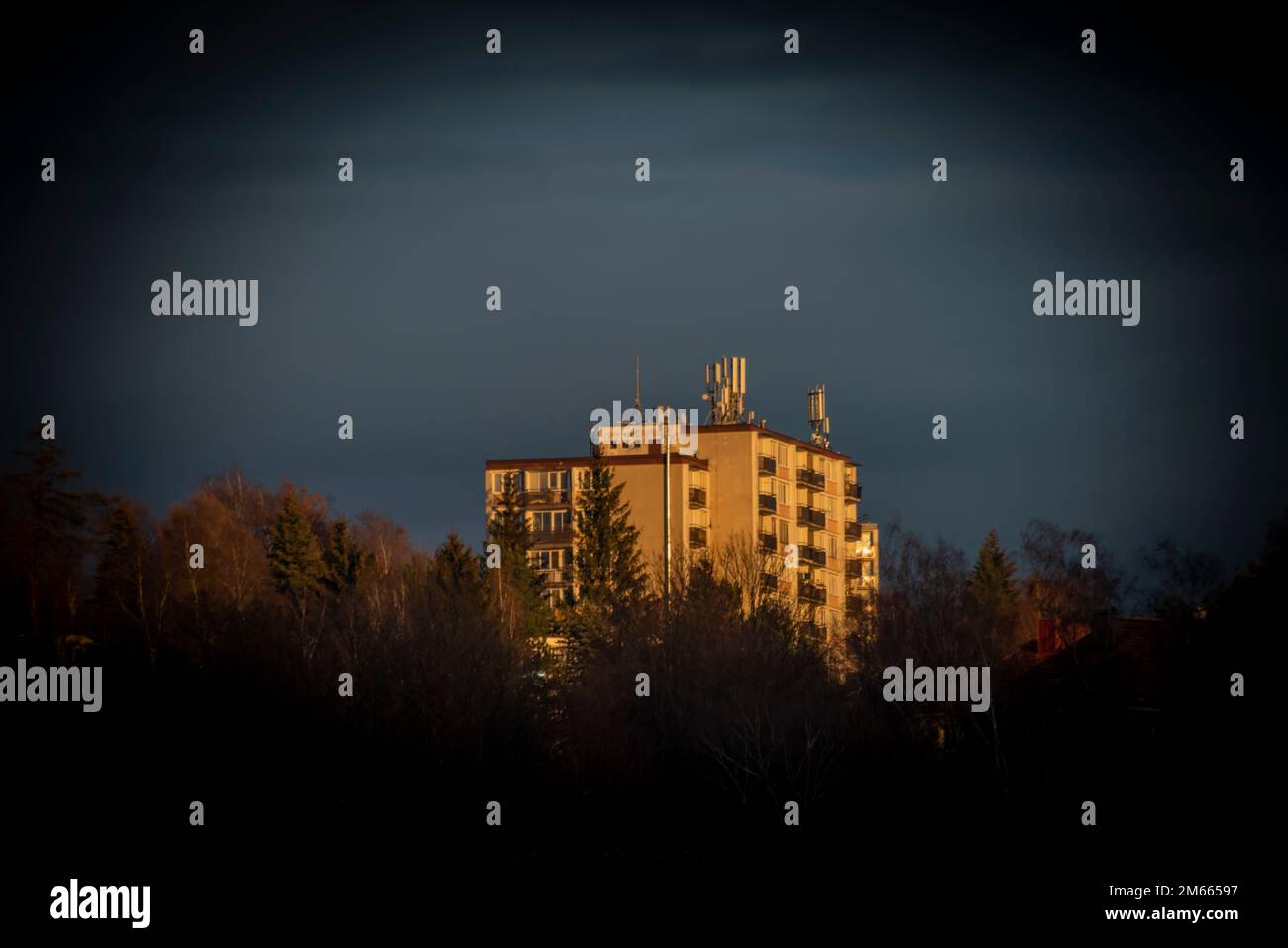 Haj kraluv hi-res stock photography and images - Alamy