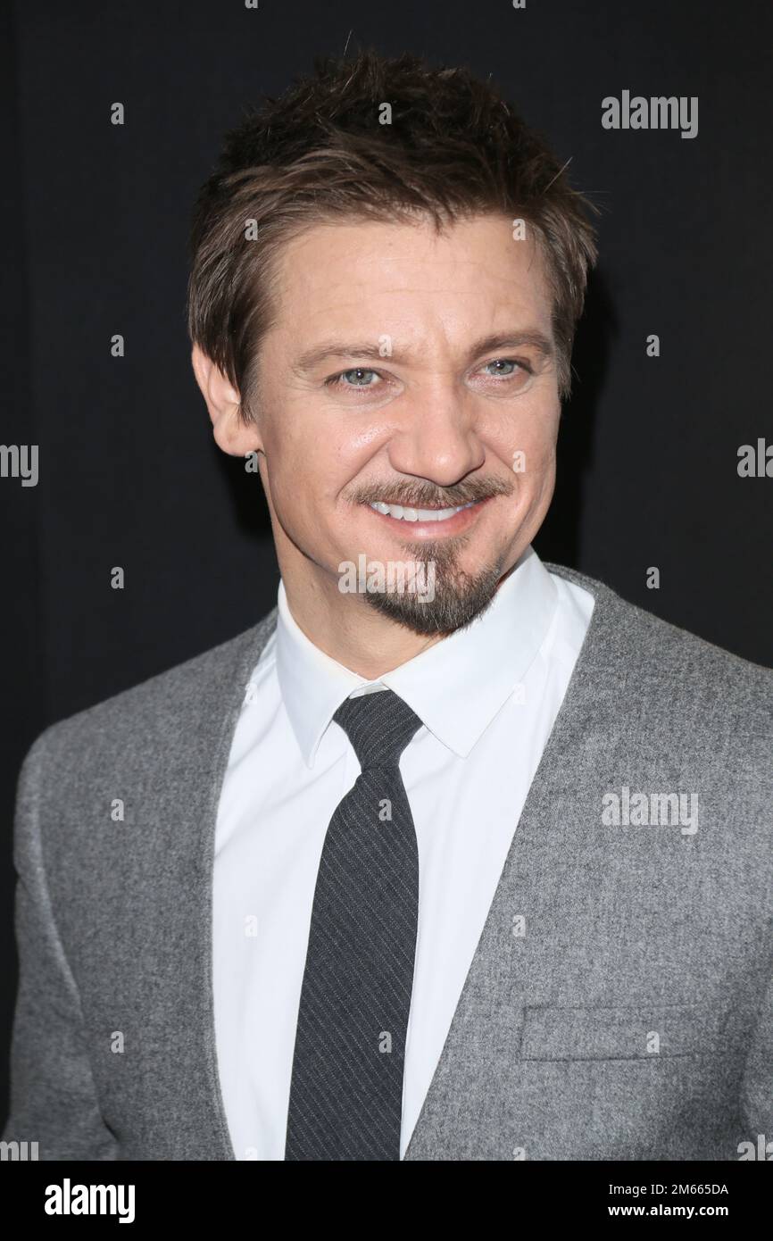 Actor Jeremy Renner attends the "American Hustle" screening at Ziegfeld ...