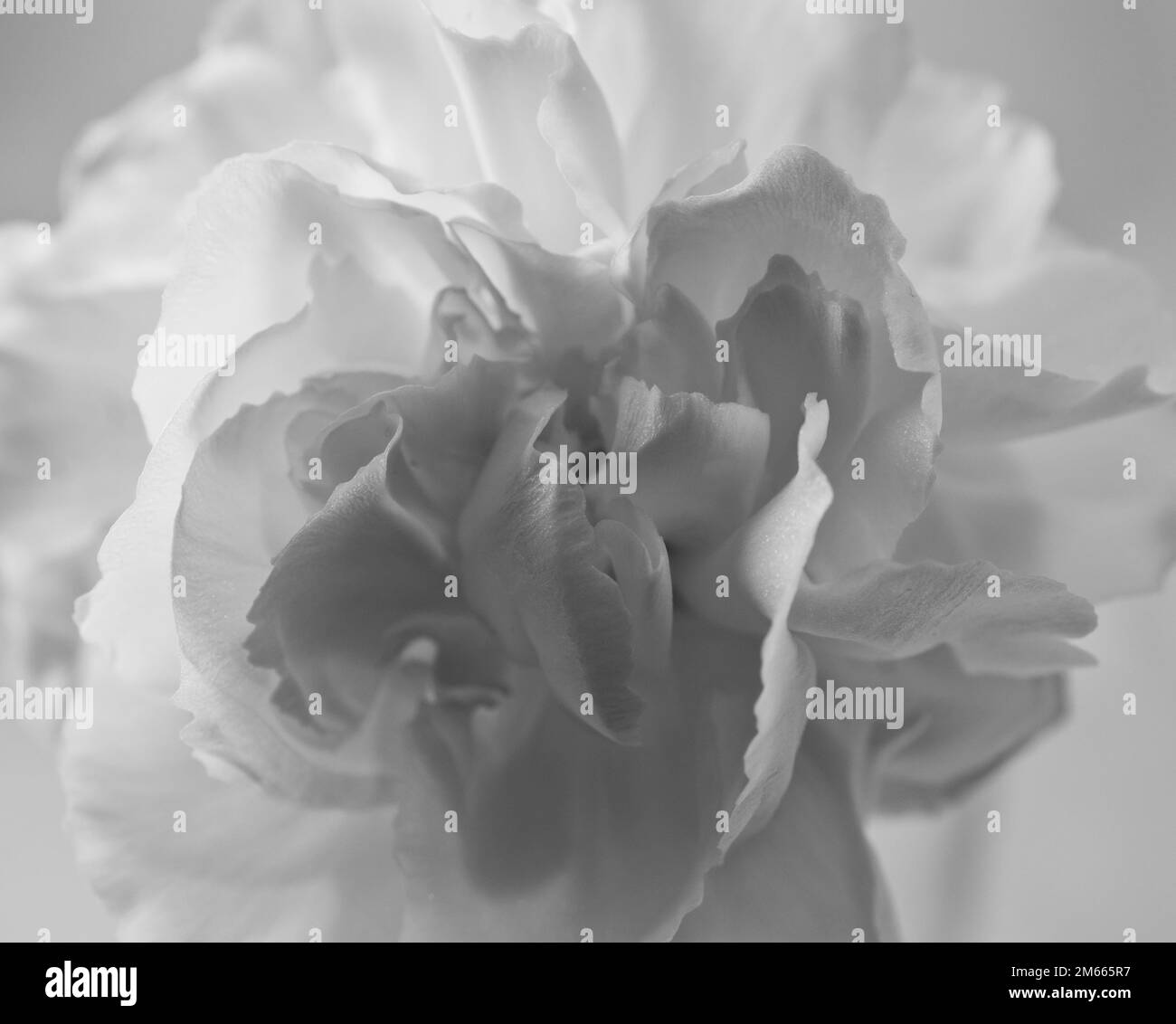 Singular object Black and White Stock Photos & Images - Alamy