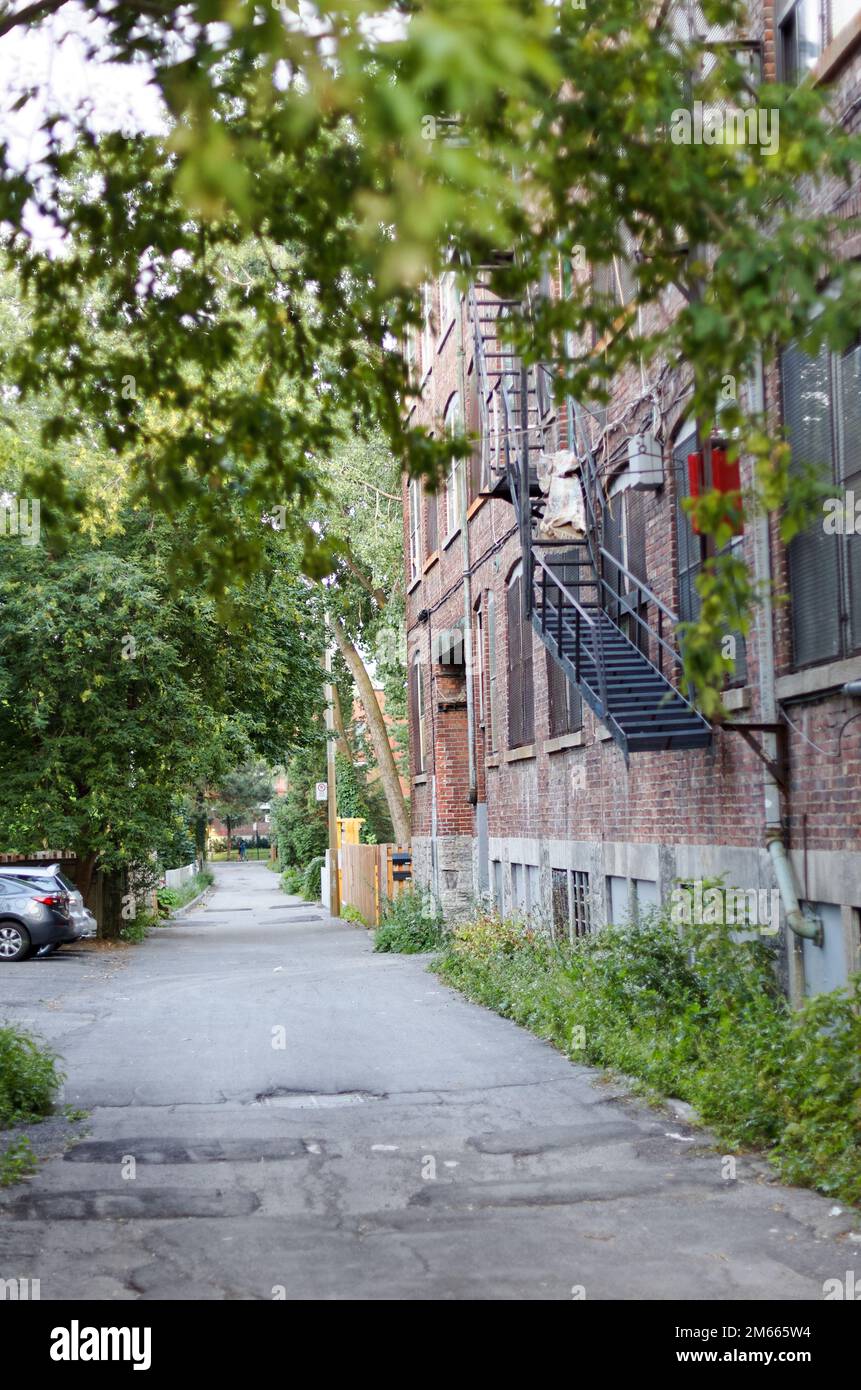 Back alley in Montreal. Quebec,Canada Stock Photo - Alamy