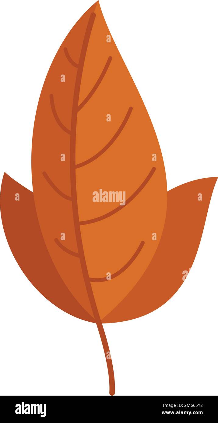 Brown leaf icon flat vector. Autumn fall. Foliage tree isolated Stock ...