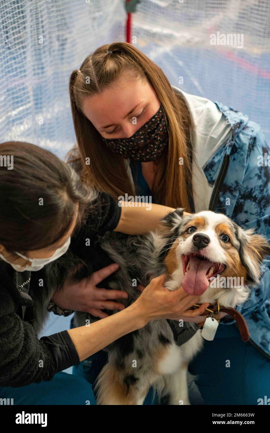 YOKOSUKA, Japan (Apr. 6, 2022) — Members of Fleet Activities (FLEACT ...