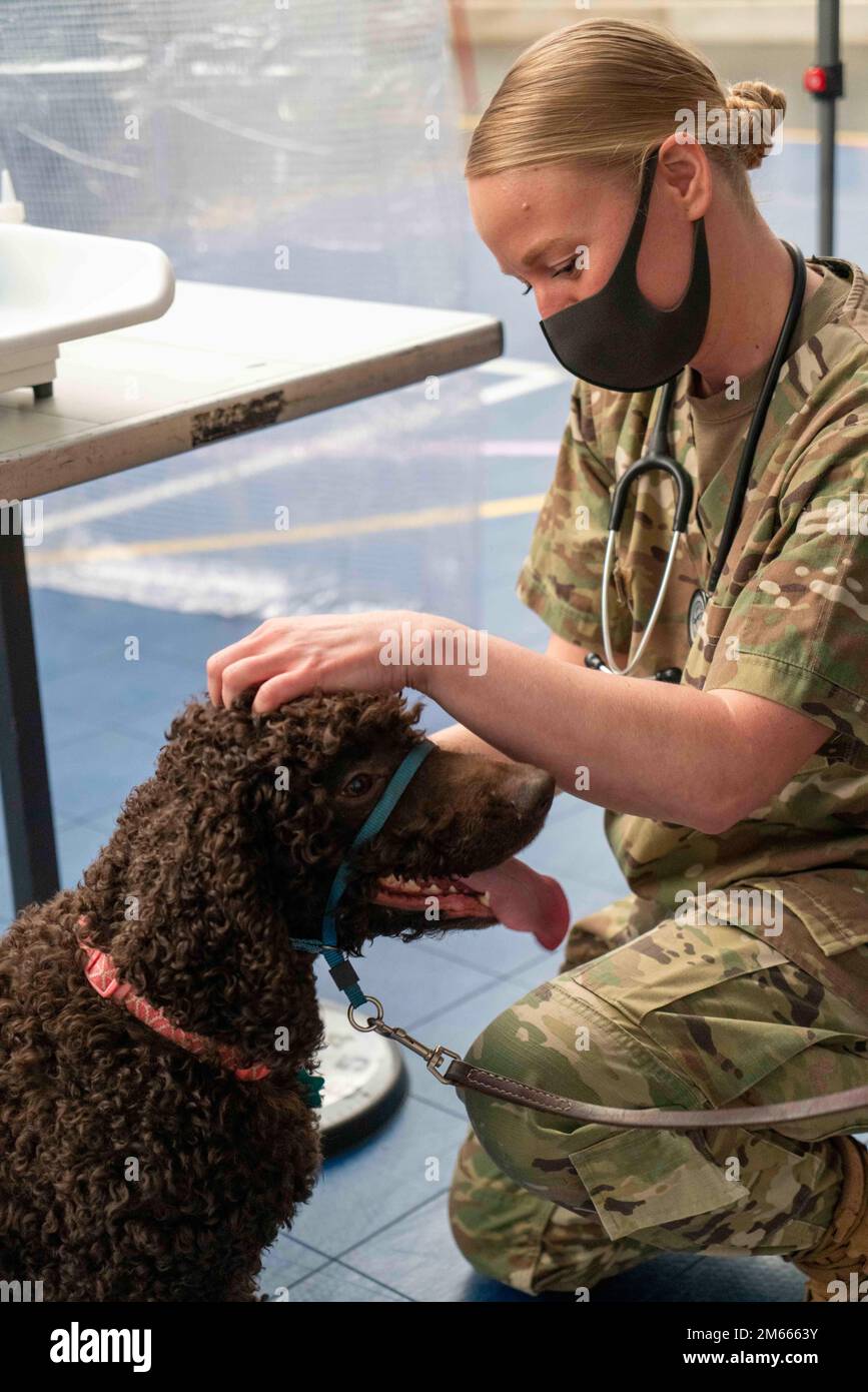 YOKOSUKA, Japan (Apr. 6, 2022) — Members of Fleet Activities (FLEACT ...