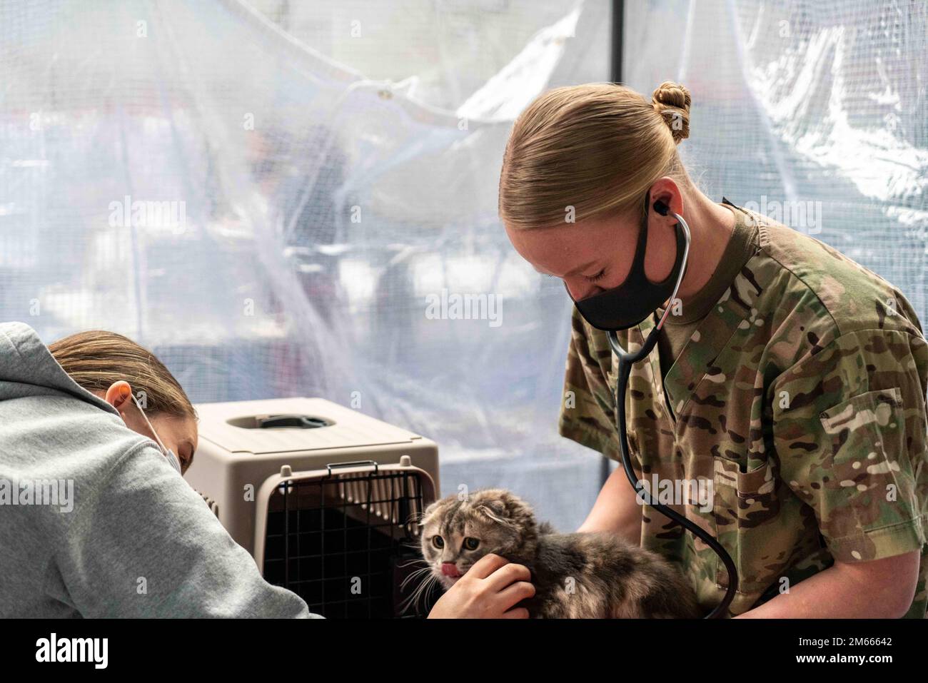 YOKOSUKA, Japan (Apr. 6, 2022) — Members of Fleet Activities (FLEACT ...