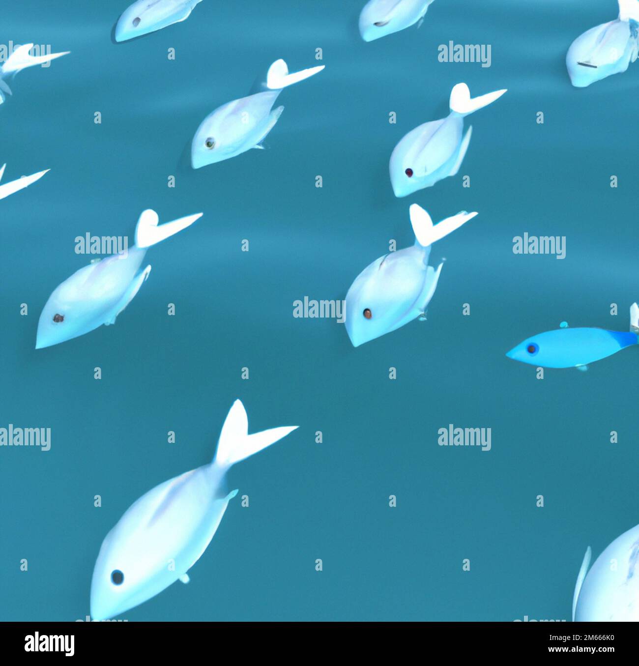 fish in the sea Stock Photo - Alamy