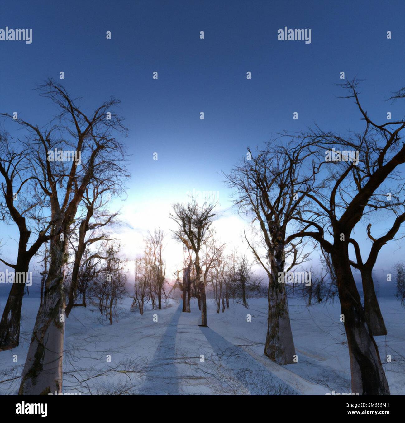 Dead forest scene Stock Photo - Alamy