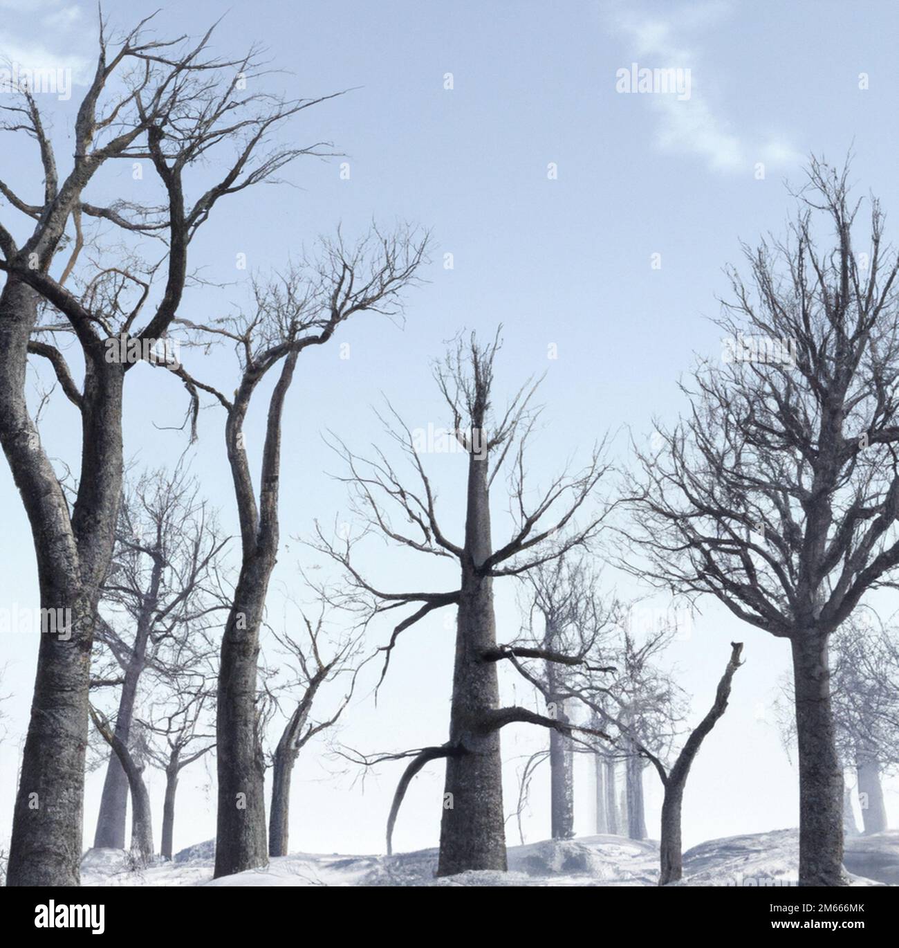 Dead forest scene Stock Photo - Alamy