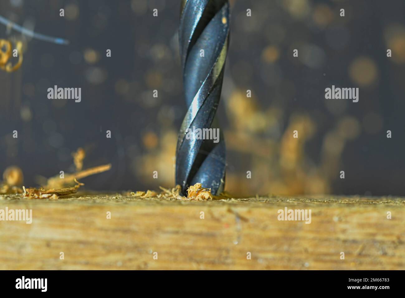 Macro image of the drill bit. Rotating drill bit and flying wood chips ...