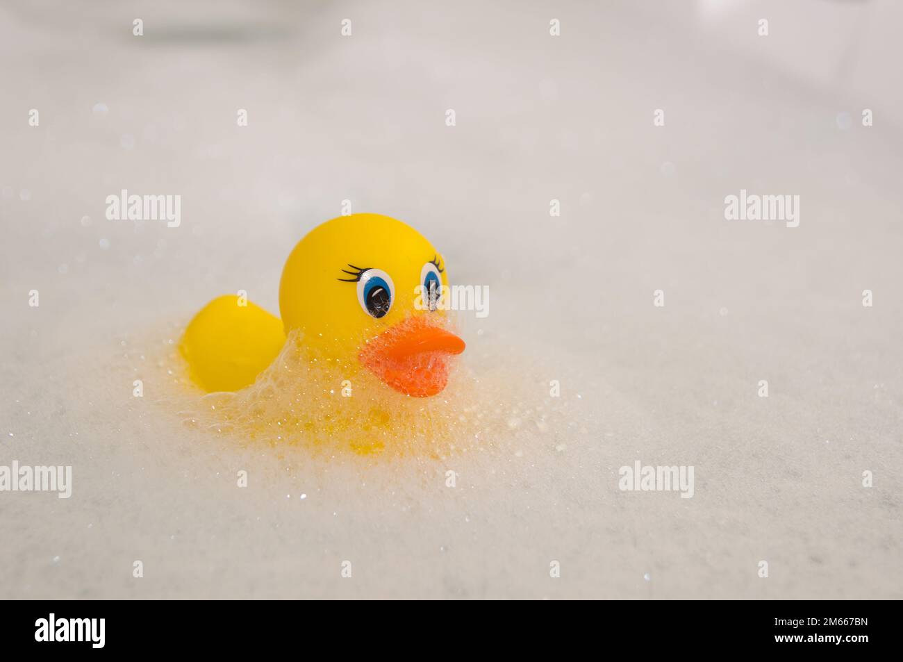 Floating rubber ducky hi-res stock photography and images - Alamy