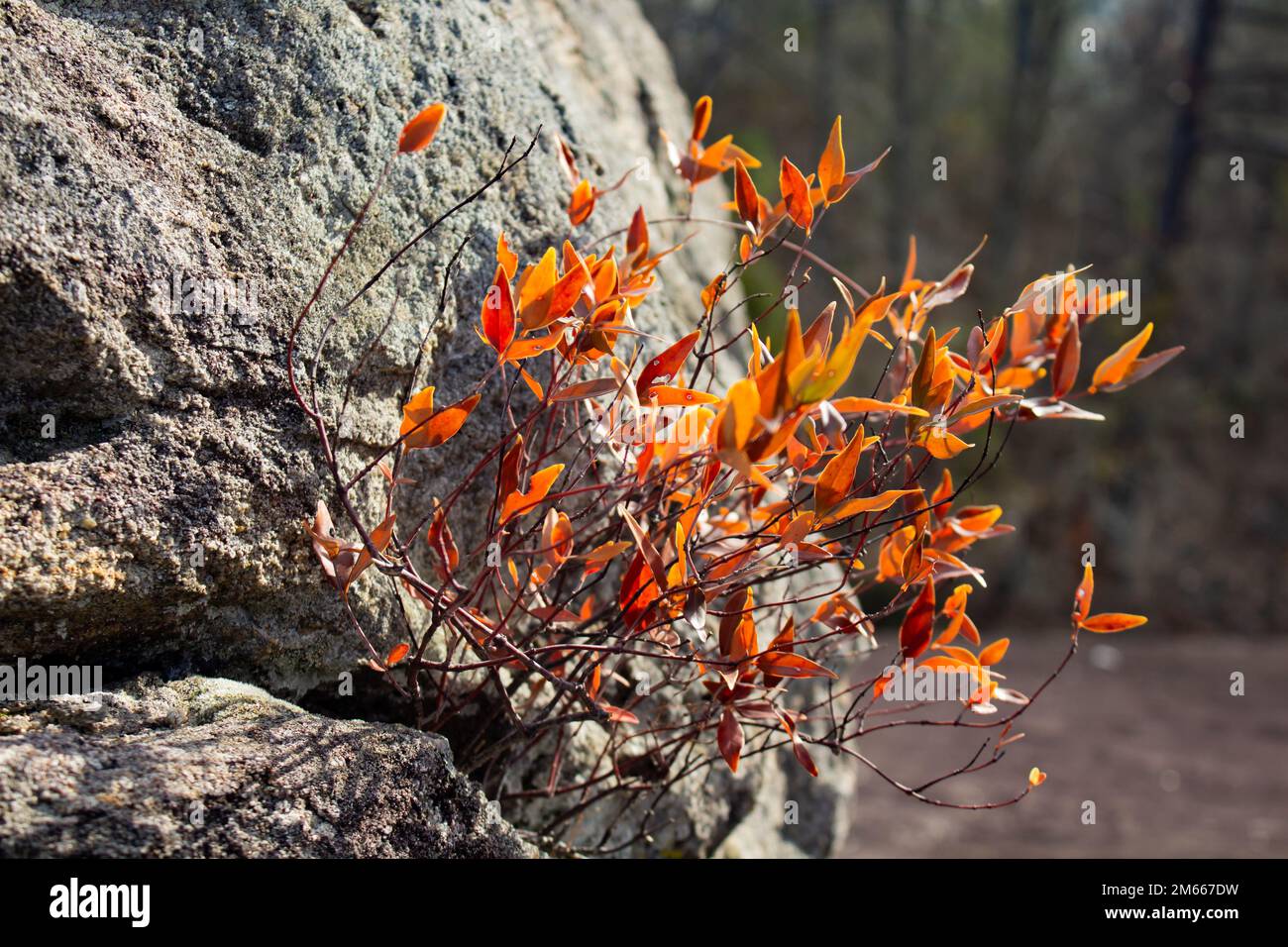 Atlanta georgia hiking trail hi-res stock photography and images - Alamy