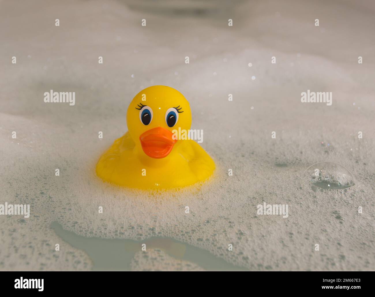 Floating rubber ducky hi-res stock photography and images - Alamy