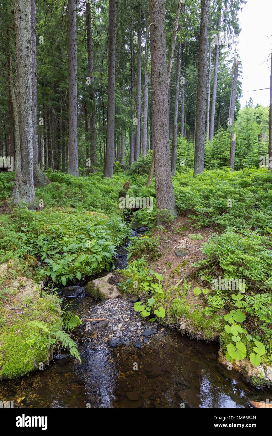 Moravian mountains hi-res stock photography and images - Alamy