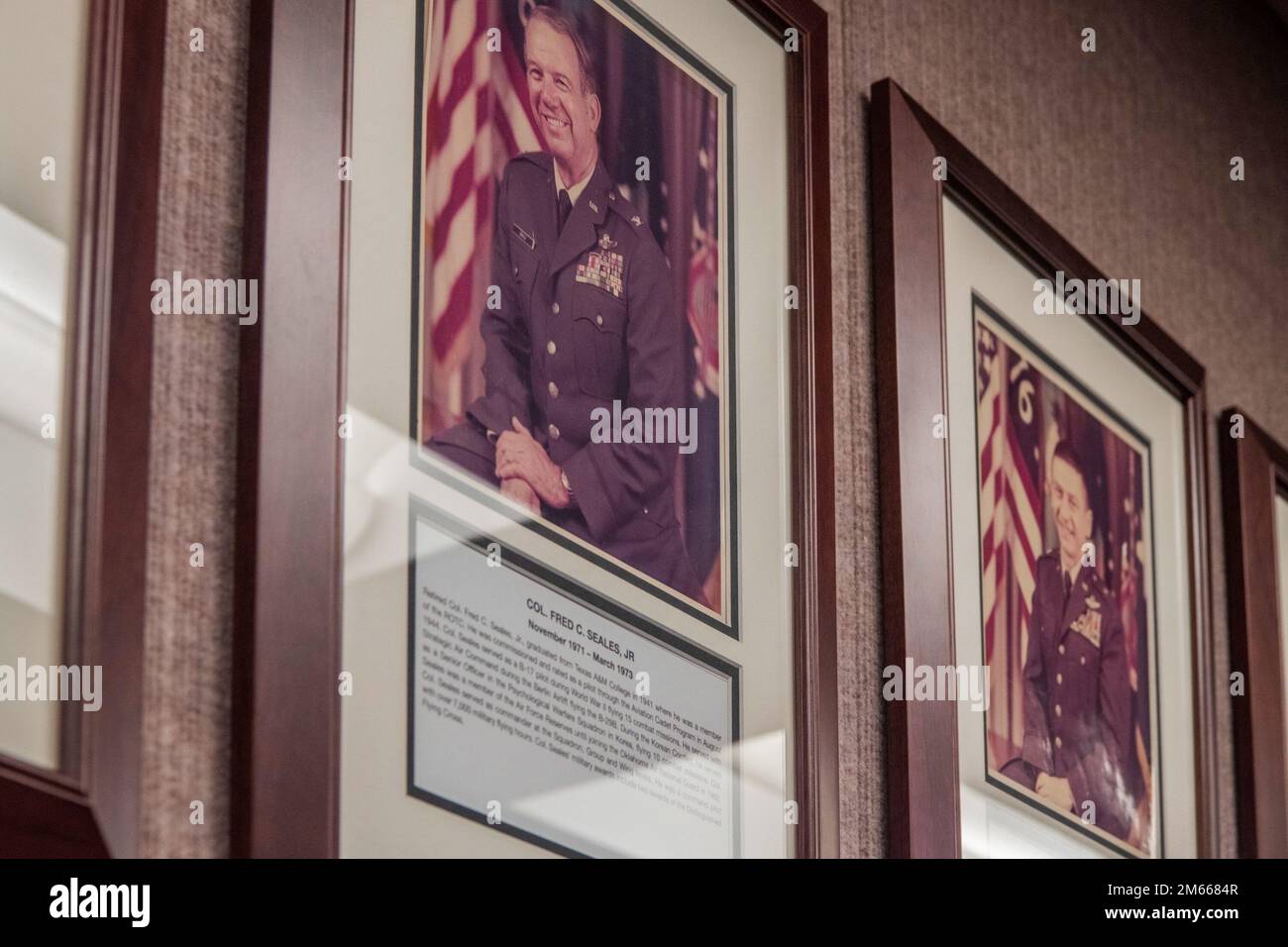 Telise Galanis Biography