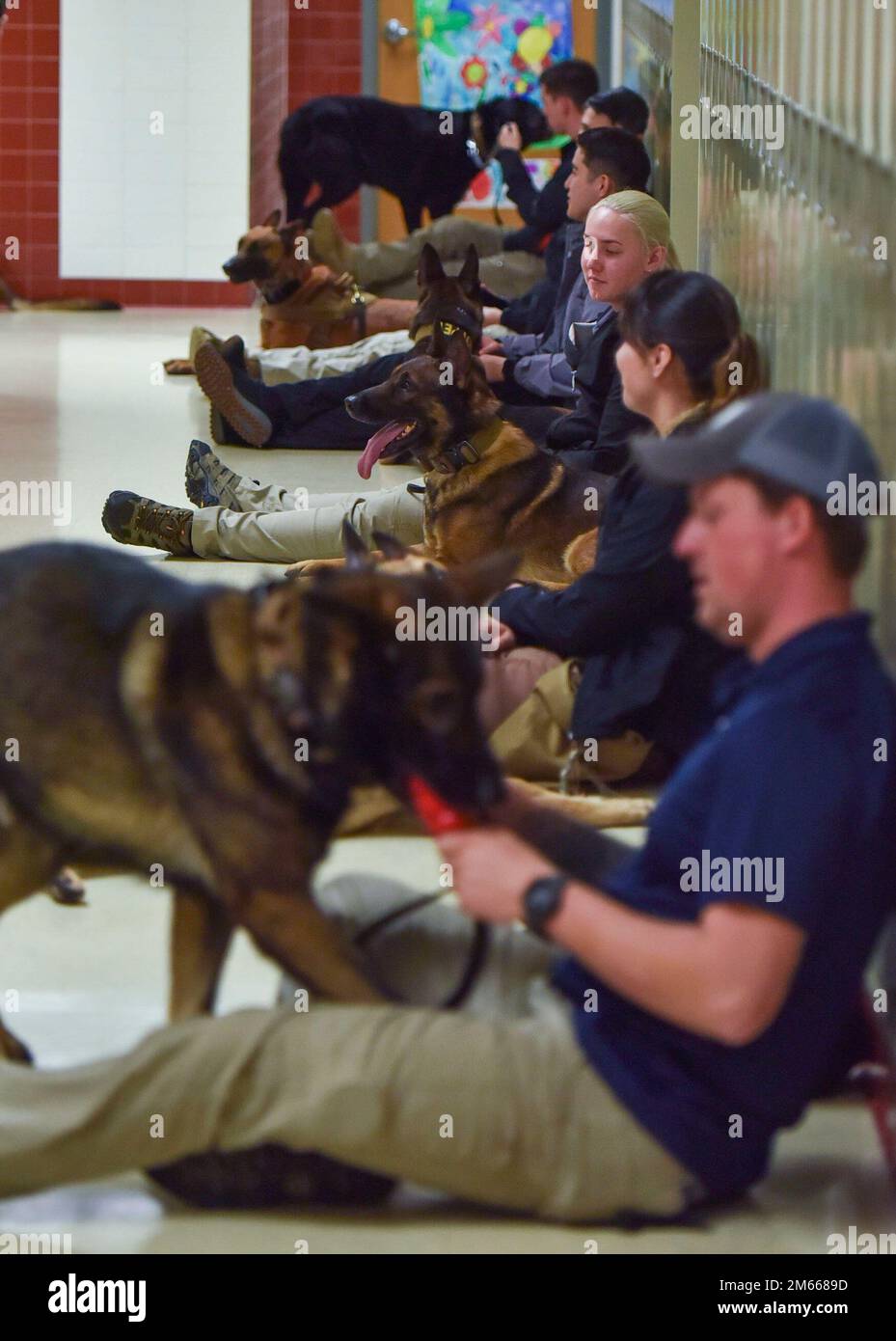 The 316th Security Support Squadron military working dog handlers and their MWDs take a break ...