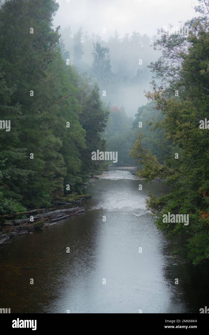 Early morning mist on a rainforest river in southern Tasmania Stock ...