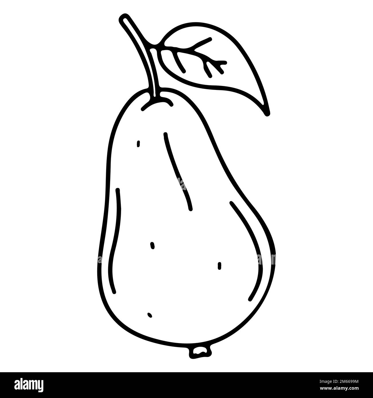 Cute pear in hand drawn doodle style. Fruit vector illustration ...