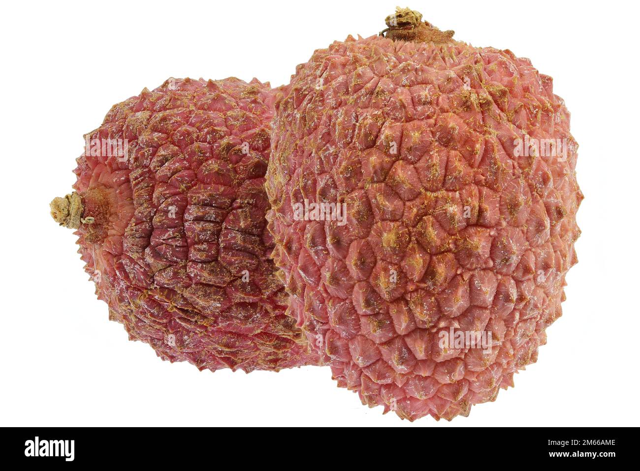 Lychees isolated on white background Stock Photo - Alamy