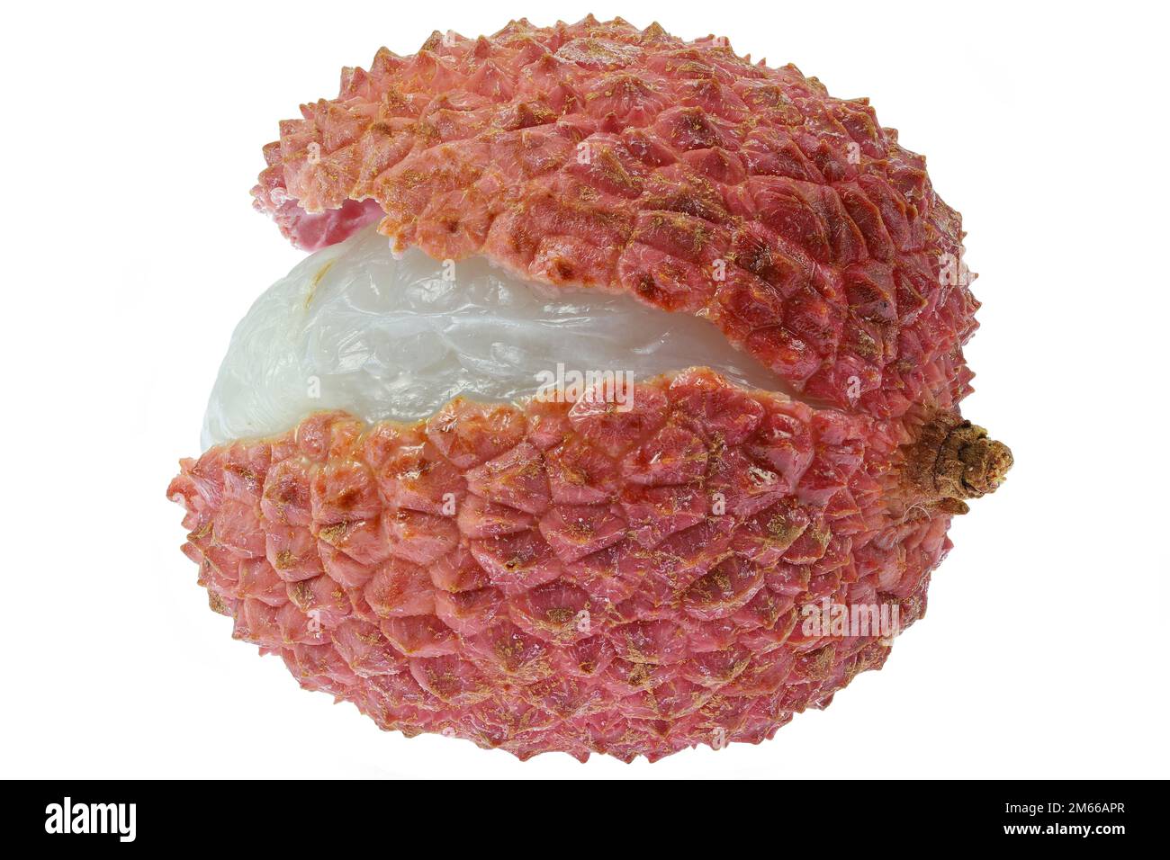 Lychee isolated on white background Stock Photo - Alamy