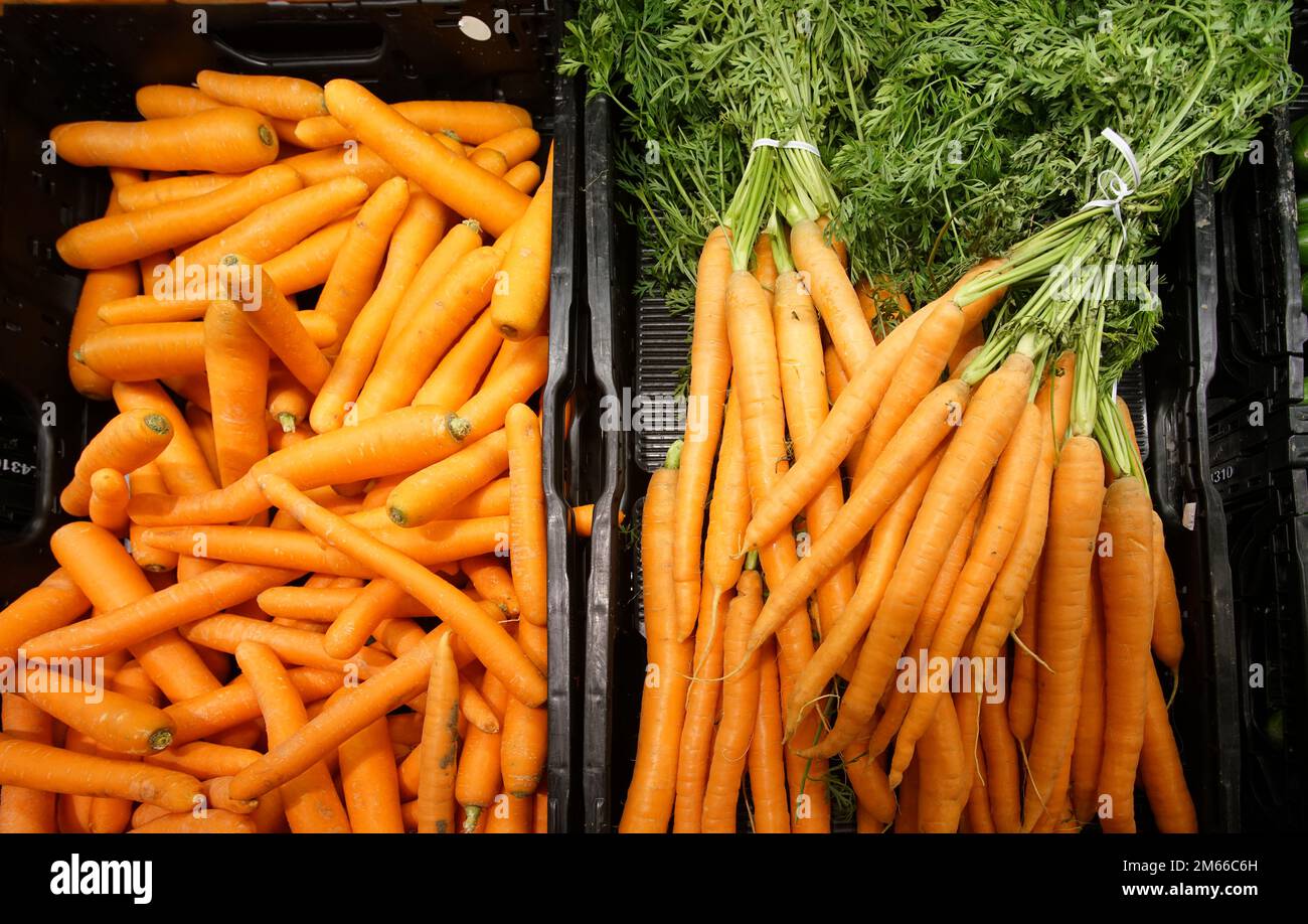 Carrots in boxes in a supermarket are vegetables rich in vitamin A. A ...