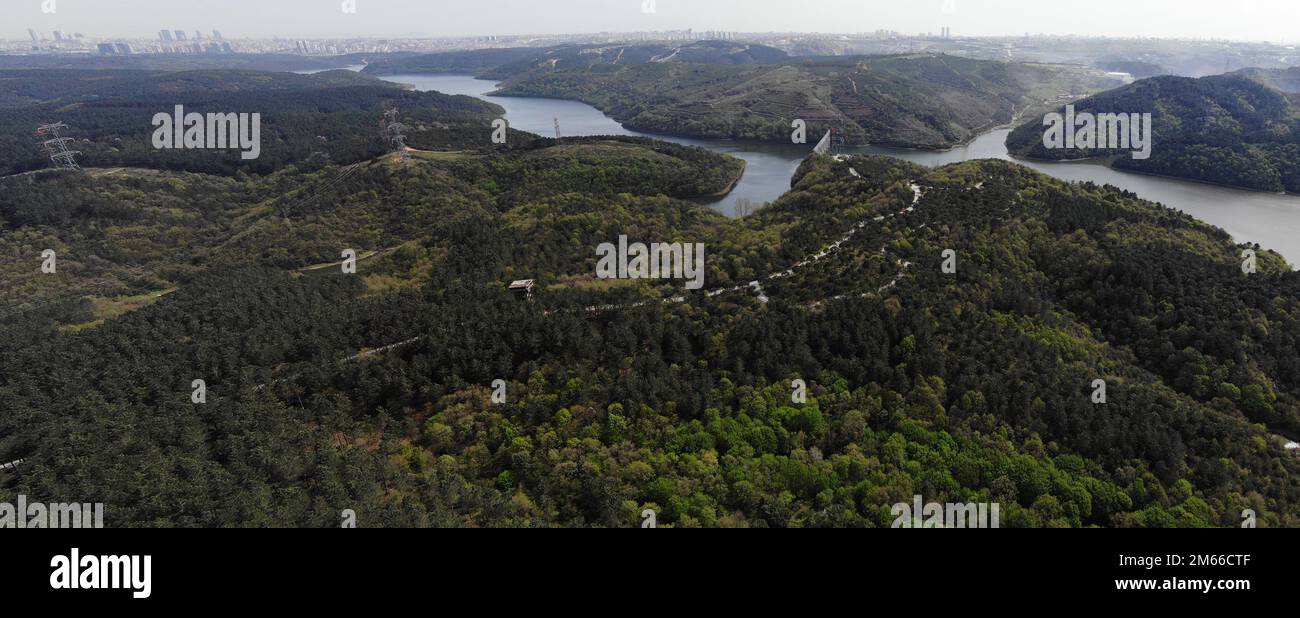 Belgrade forest istanbul hi-res stock photography and images - Alamy