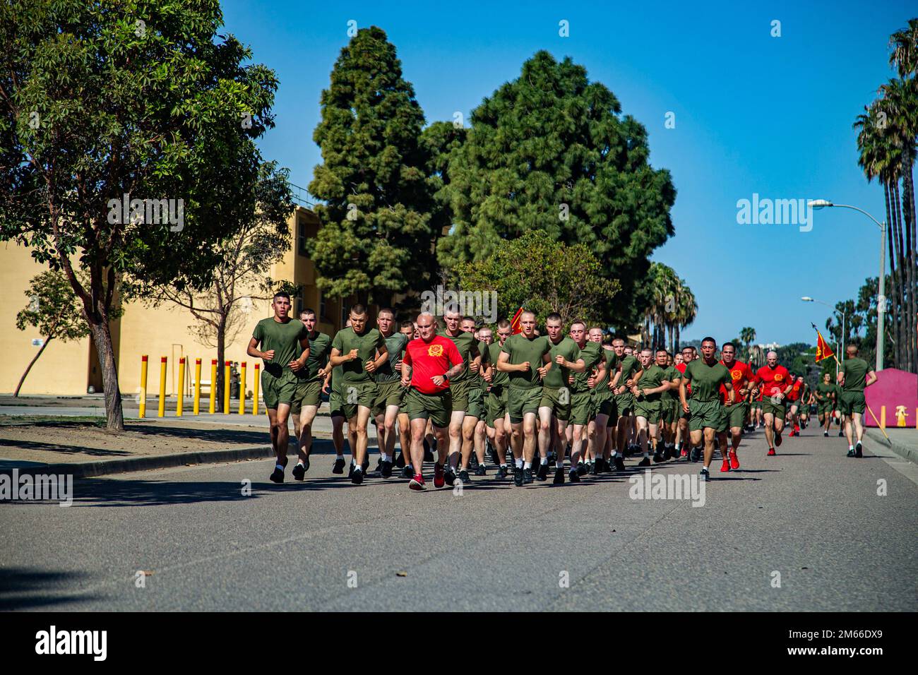 New U.S. Marines with Delta Company, 1st Recruit Training Battalion ...