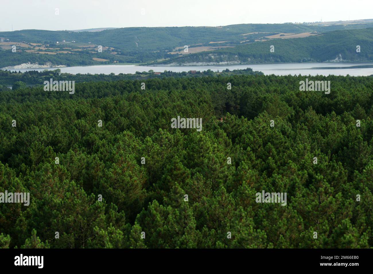 Terkos hi-res stock photography and images - Alamy