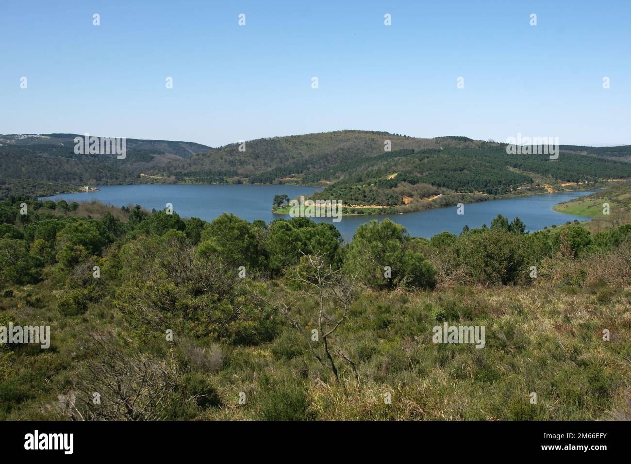 Belgrade forest istanbul hi-res stock photography and images - Alamy