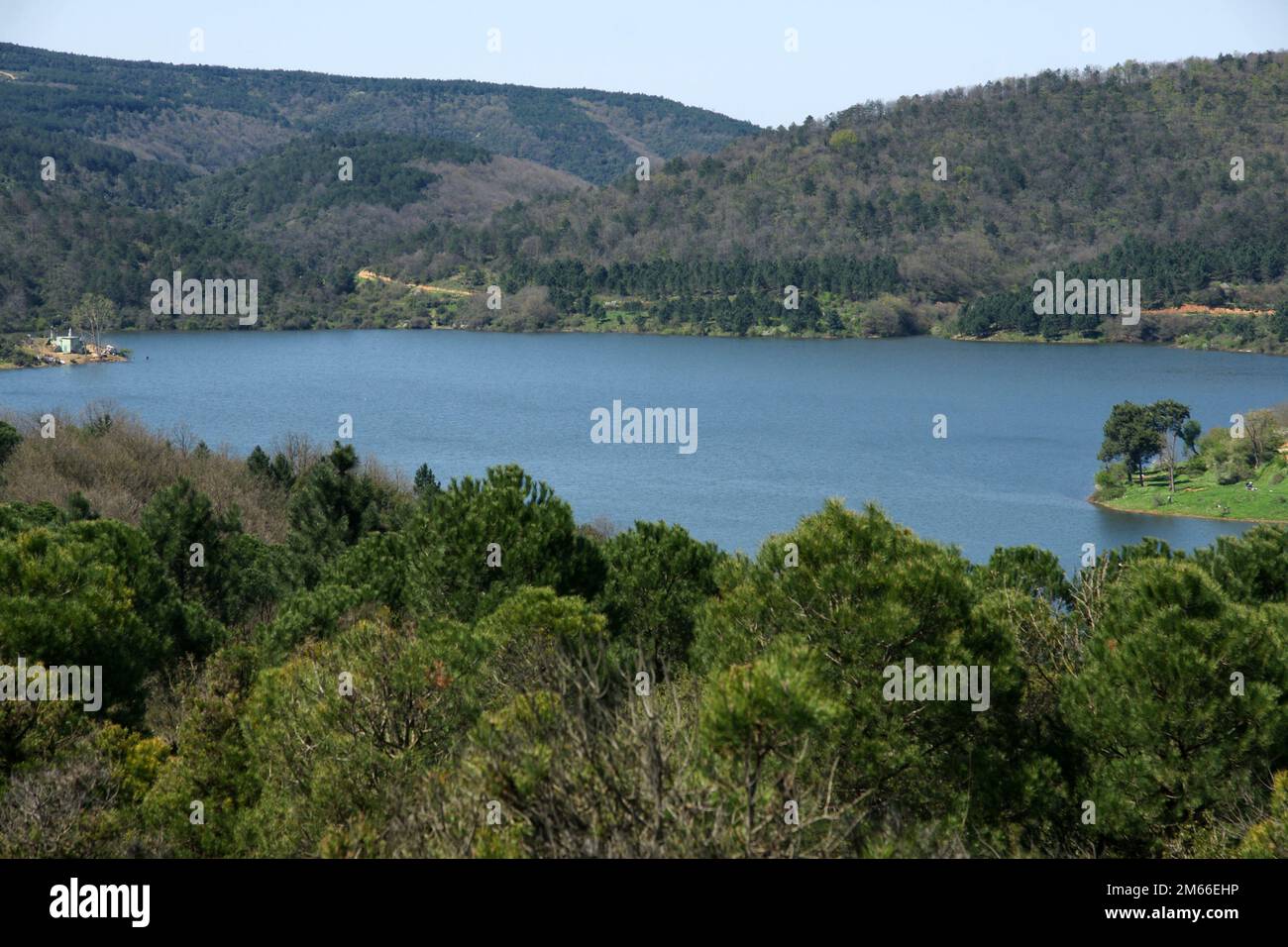 Belgrade forest istanbul hi-res stock photography and images - Alamy