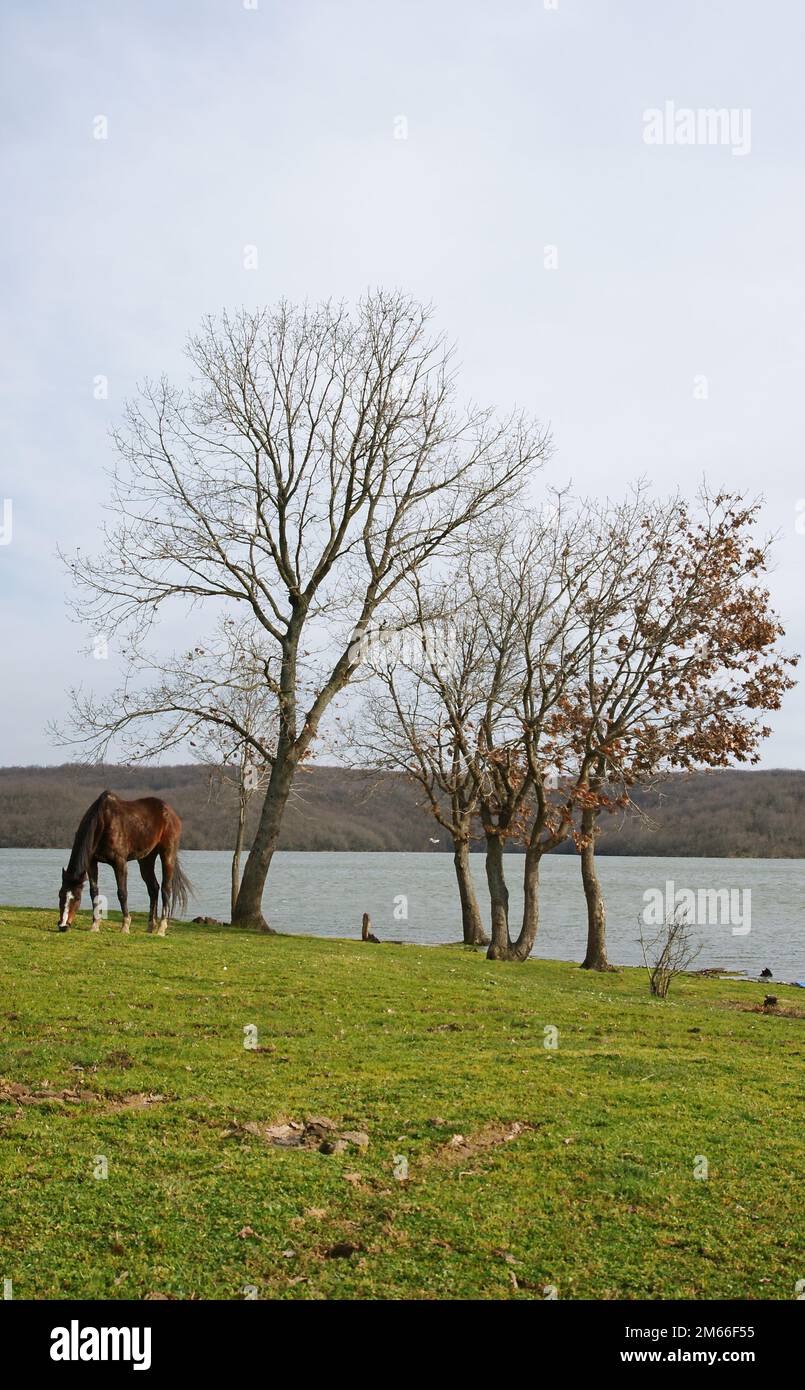 Omerli Dam Lake Esenceli Shores in Istanbul, Turkey Stock Photo - Alamy