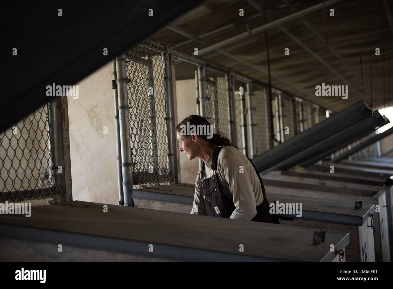 Col. Joyce Storm, 37 Training Group commander, and Chief Master Sgt ...