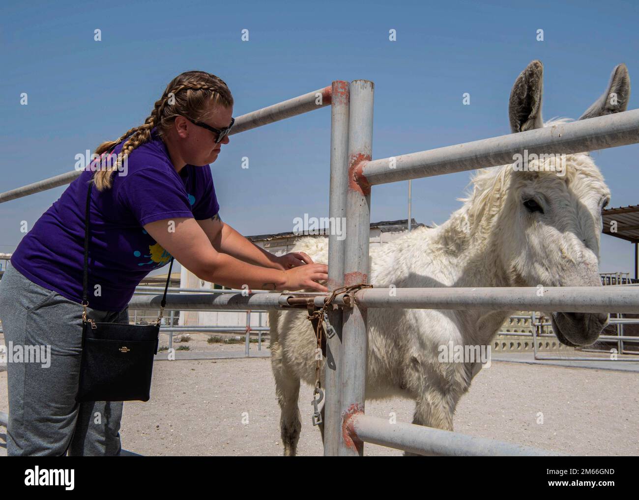Askar bahrain hi-res stock photography and images - Alamy