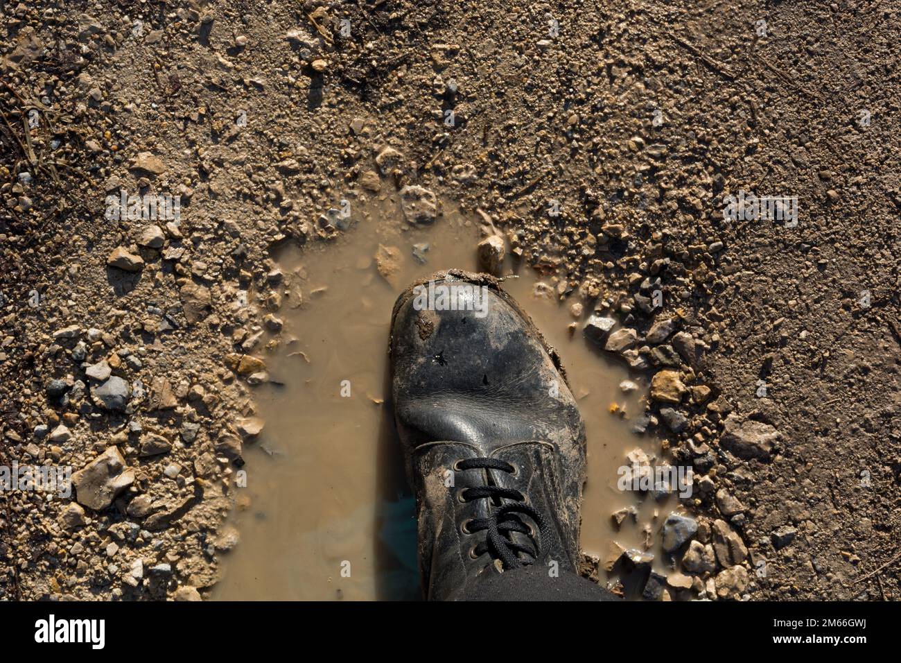 A dirty military boot covered in mud stands in a puddle of rain. The worn footwear suggests hard ...