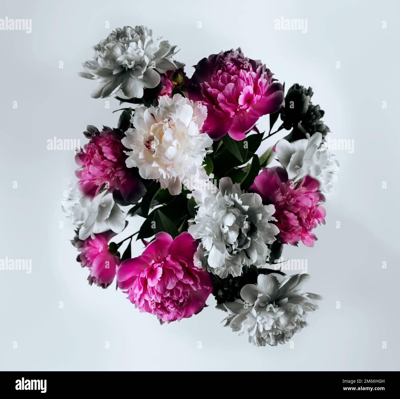 Beautiful Peonies bouquet in Photocollage. Spring Seasonal Background ...